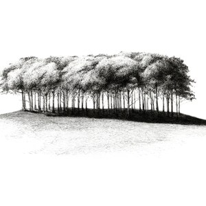 Nearly Home Trees, Nearly Home Trees Print, Almost There Trees ...