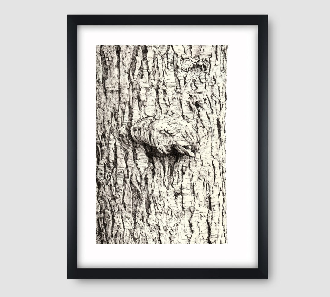 Oak Tree Bark Print, Tree Bark Print, Flora Print - Etsy