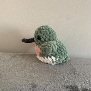 Chubby Hummingbird Crochet Plushie — Ruby-throated Hummingbird - Etsy