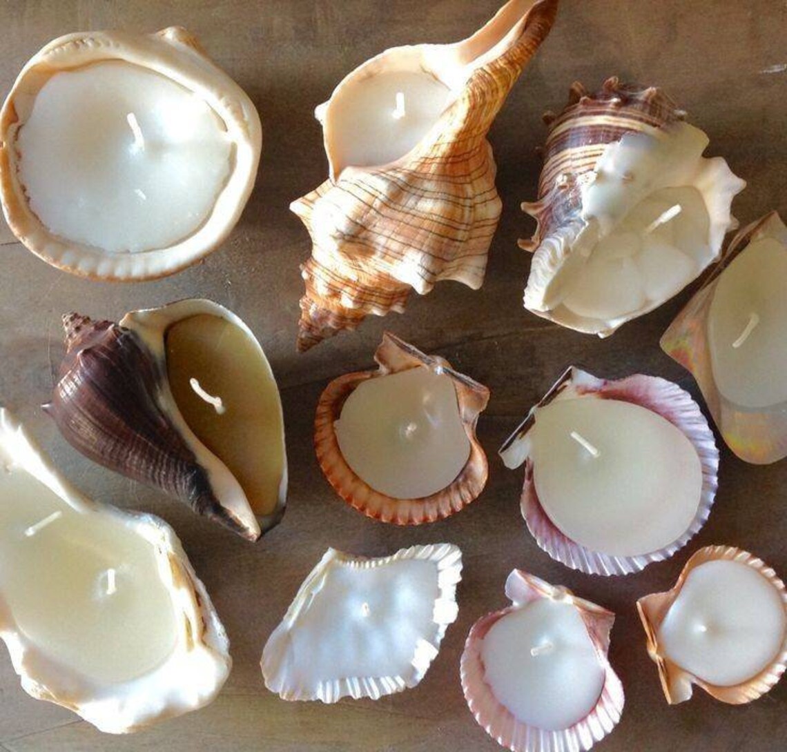 Seashell Tea Light Candles - Etsy