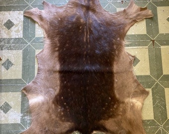 Australian Natural Spotty Fallow or Chital Deer Hide - Etsy