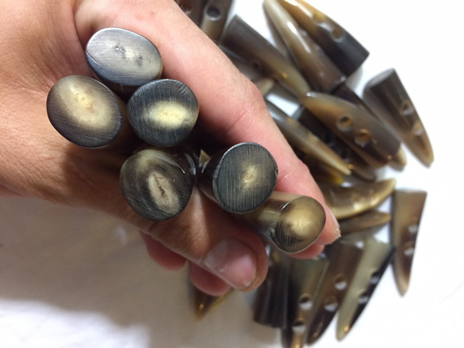 2 Inch Length REAL Bull Horn Toggle Button 100% Horn | Etsy