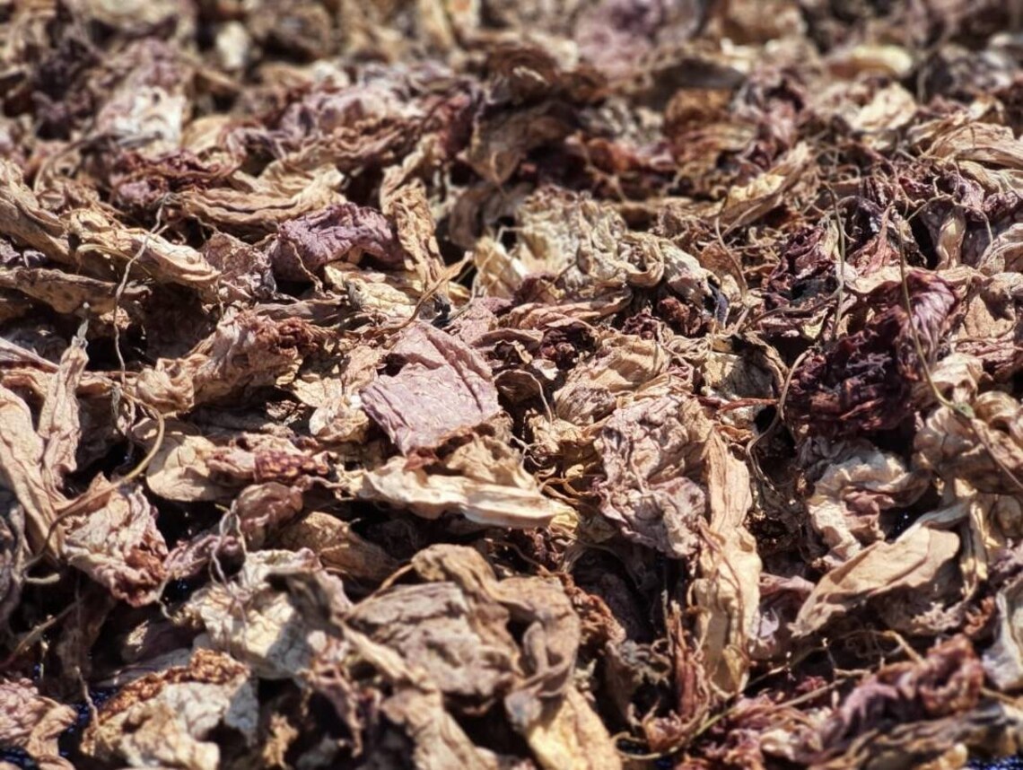 Duck Flower Detox contribo Pelican Flower Dutchman's - Etsy