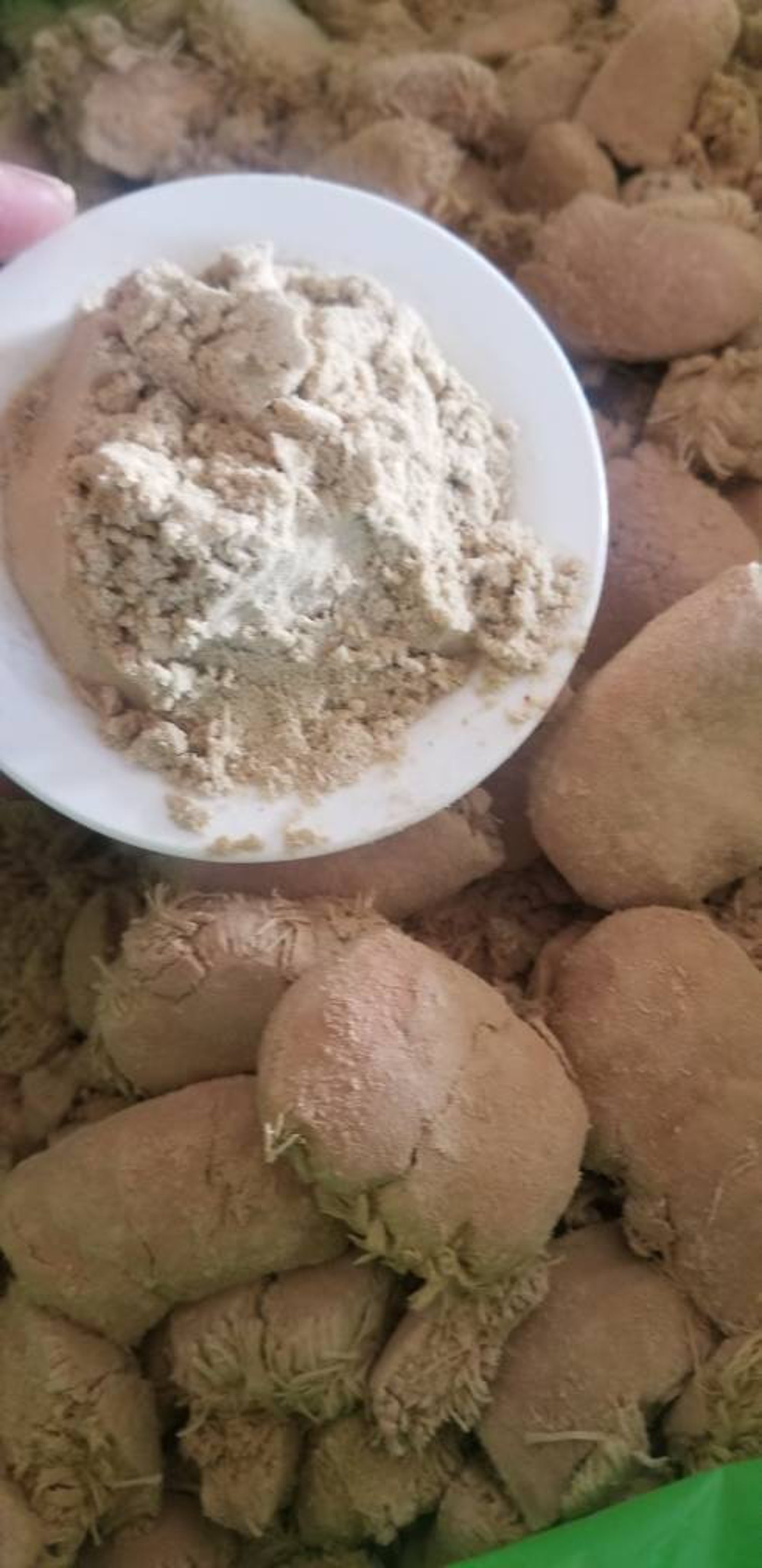 Stinking Toe Powder Hymenaea Courbaril No GMO 100% - Etsy