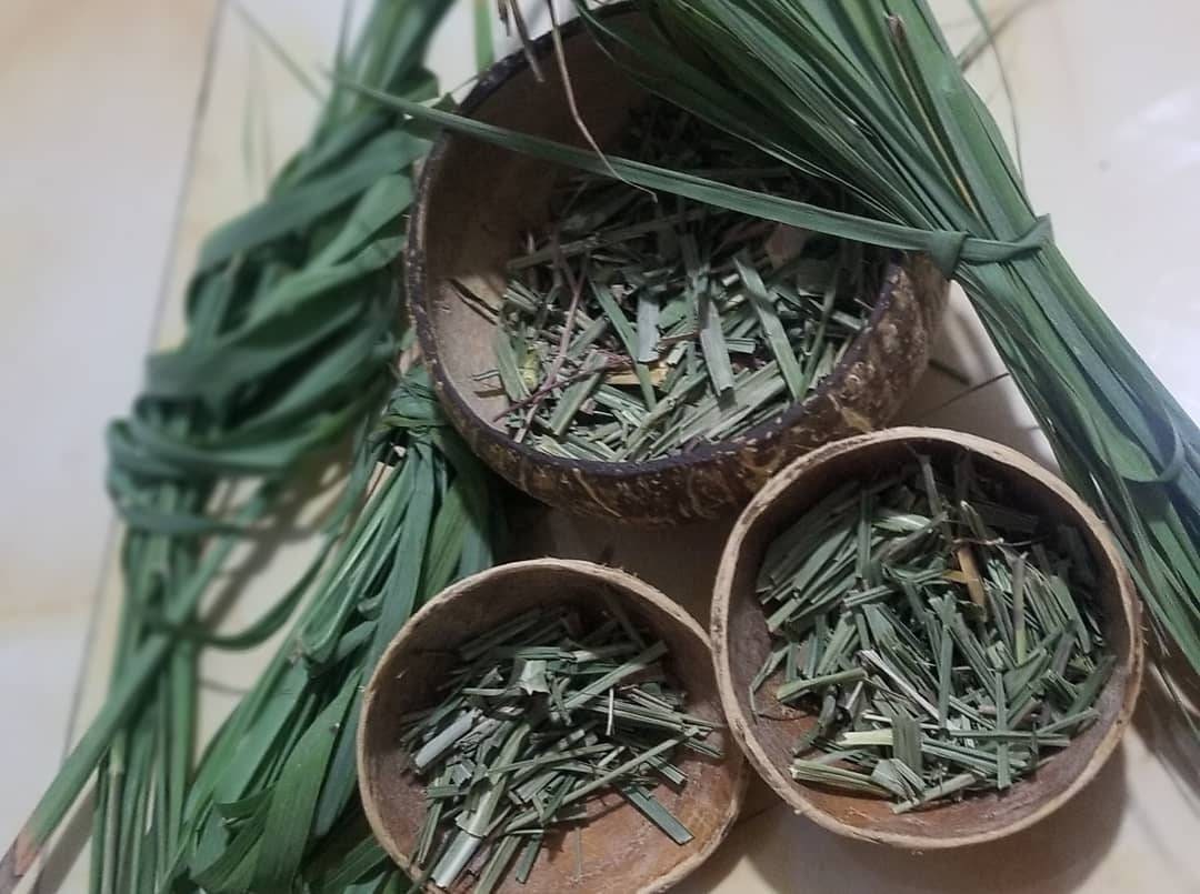 Jamaican Fever Grass/ Jamaican Lemongrass cymbopogon 100% - Etsy UK