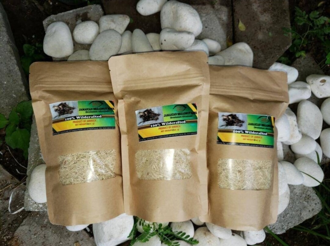 Jamaican Breadnut Bark Wildcrafted 100% Organic Coarse Powder - Etsy