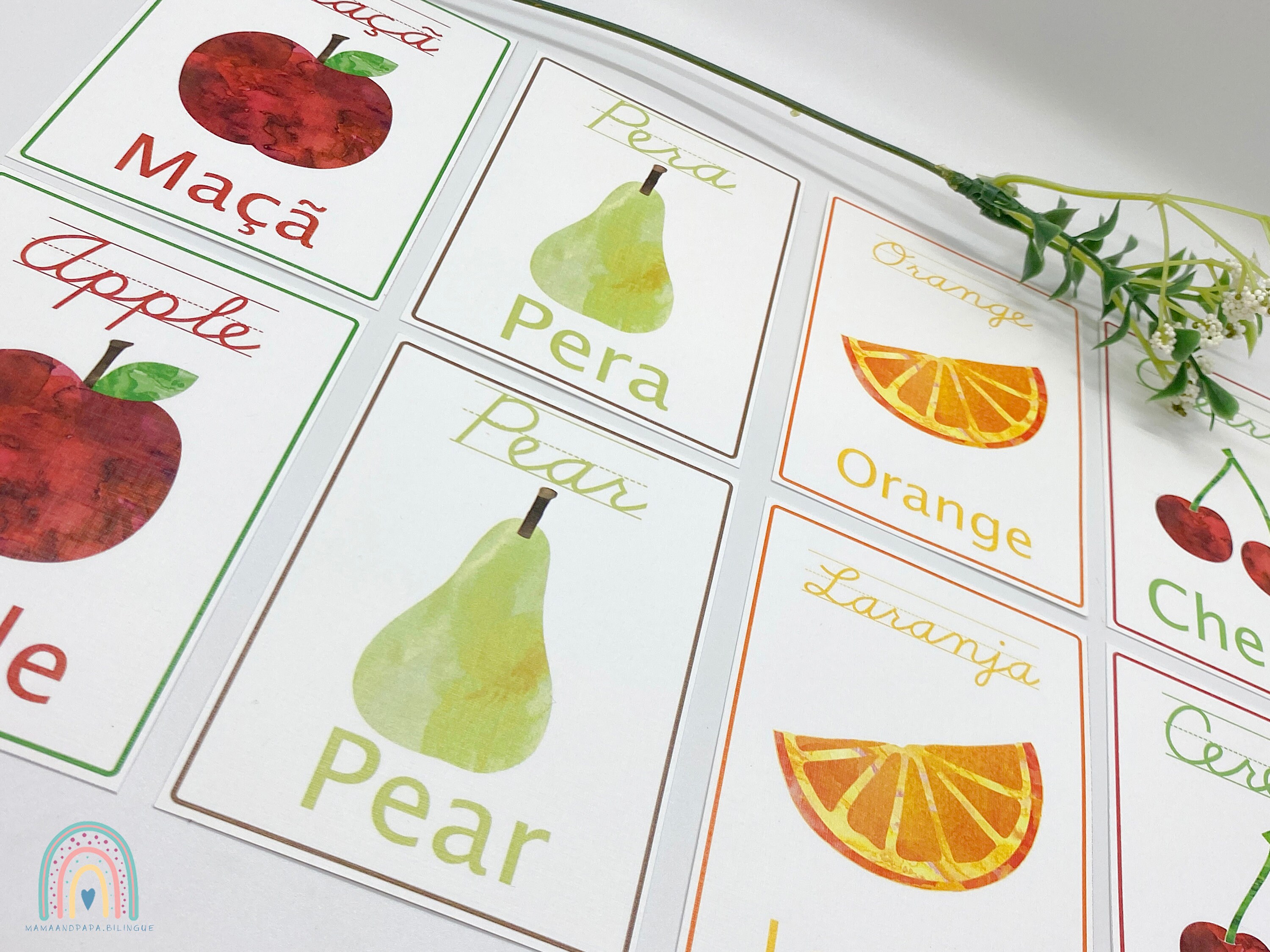 PRINTABLE PDF Bilingual FRUITS Memory Game - Portuguese / English ...