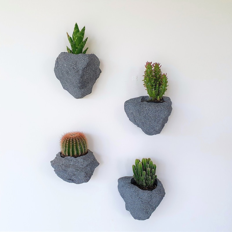 Rock Planter - Etsy