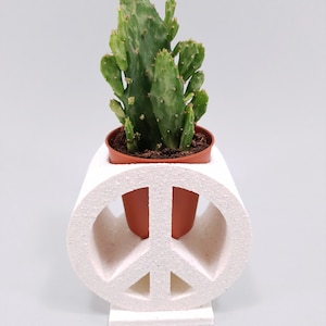 Peace Sign Succulent Pot: Granite Stone Look Table Decor - Etsy