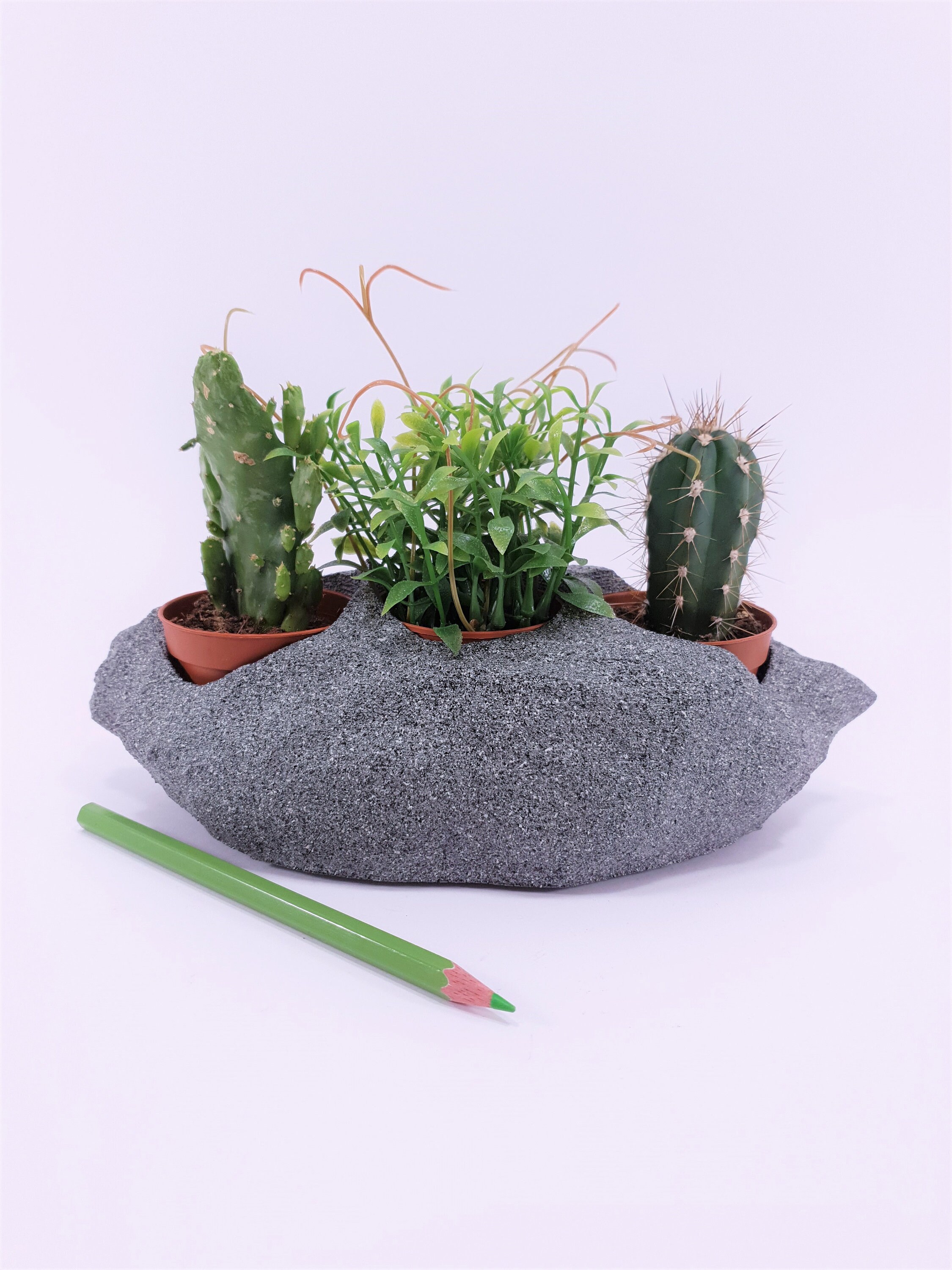 Succulent Planter Granite Stone Look 3 Succulent Pot Rock - Etsy