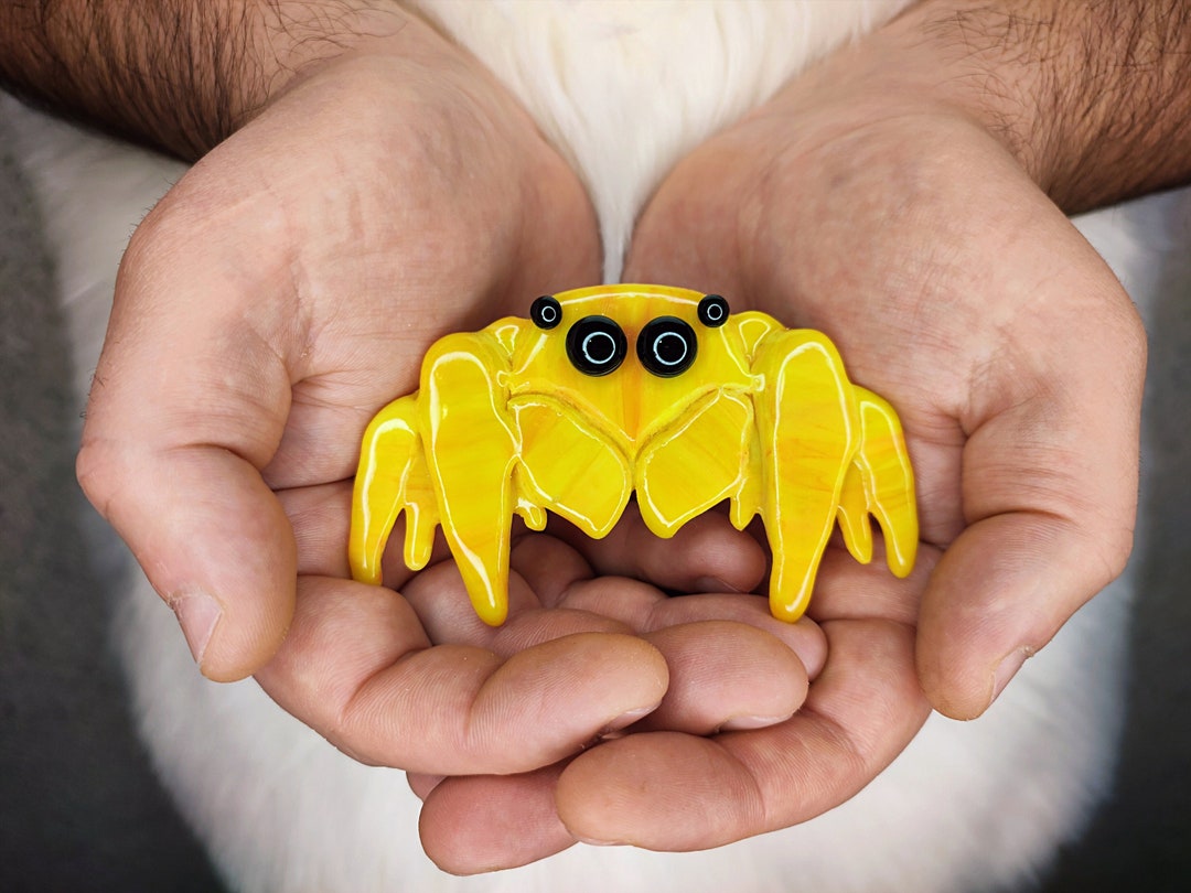 Cute Jumping Spider Fridge Magnet. Realistic Jumping Spider - Etsy