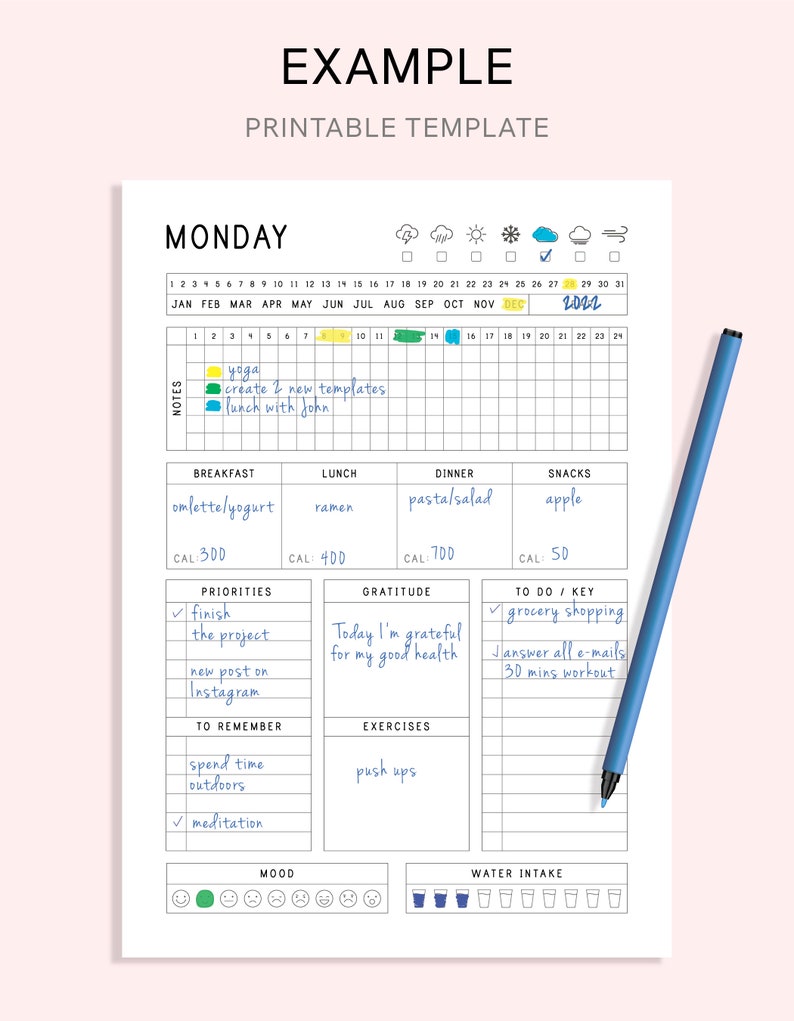 Daily Planner Printable, Printable Day Planner, Daily Hourly Planner ...