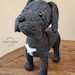 Cane Corso Dog Crochet Pattern - Etsy