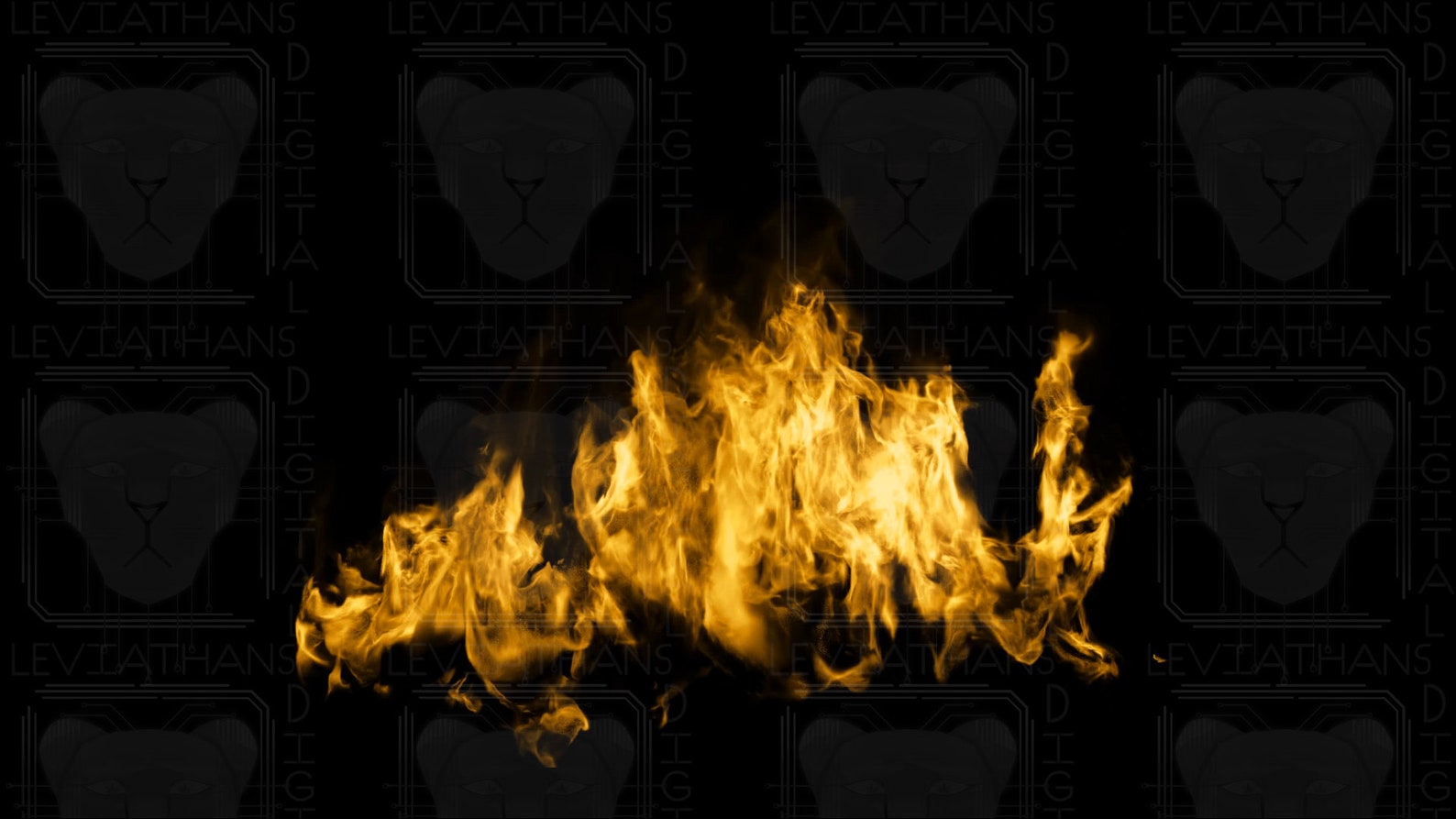 5 Realistic Animated Varicolored Fire Video Clip Digital Overlays HD 1 ...