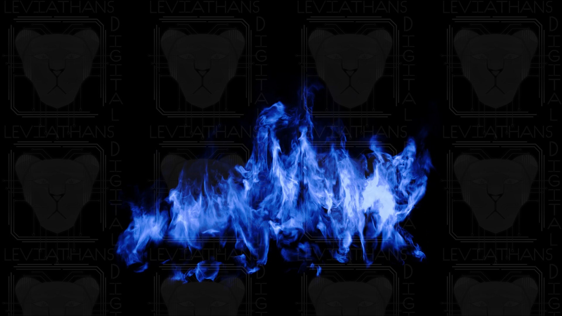 5 Realistic Animated Varicolored Fire Video Clip Digital Overlays HD 1 ...