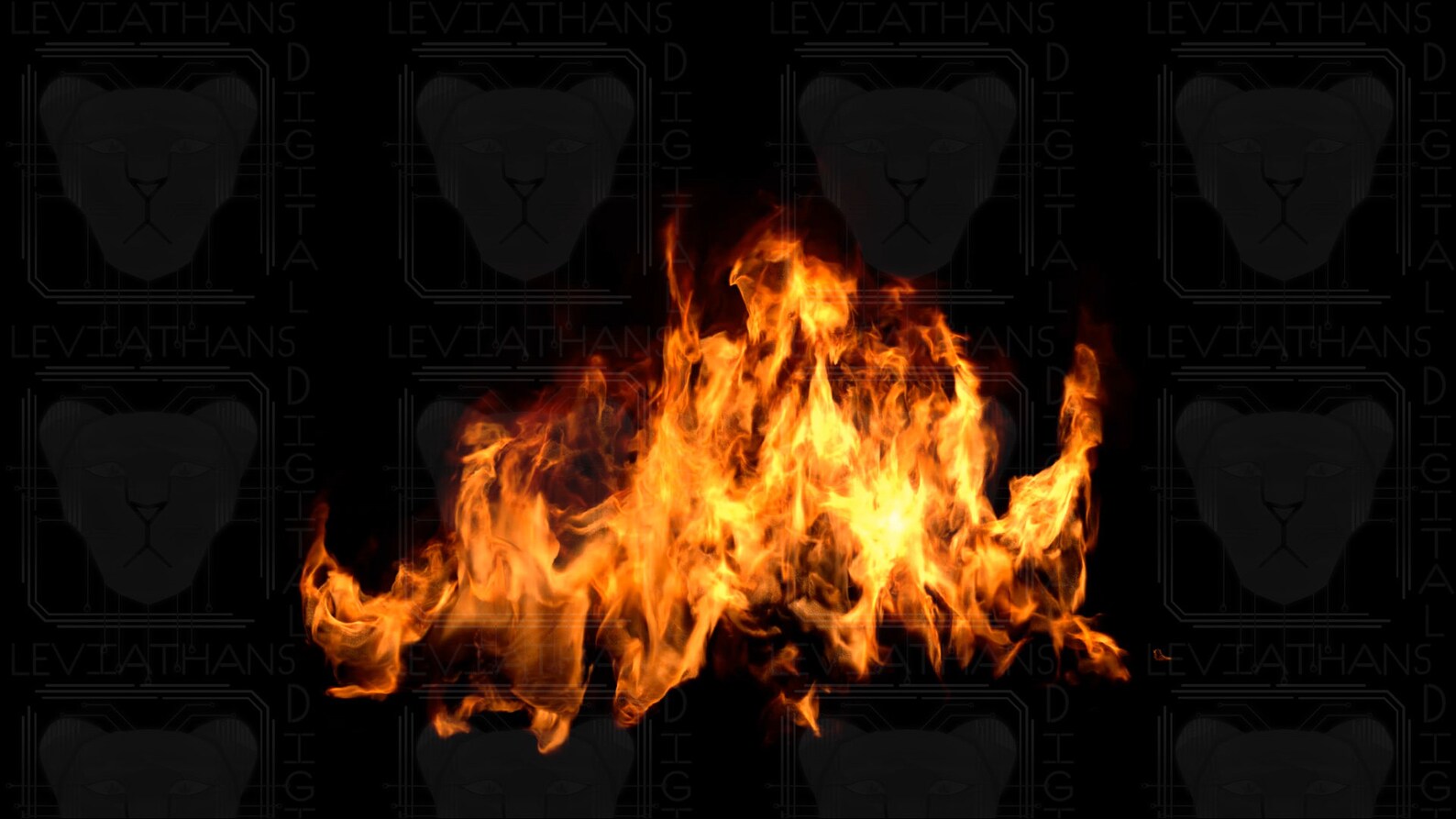 3 Digital Animated Fire Video Clip Overlays HD - Etsy