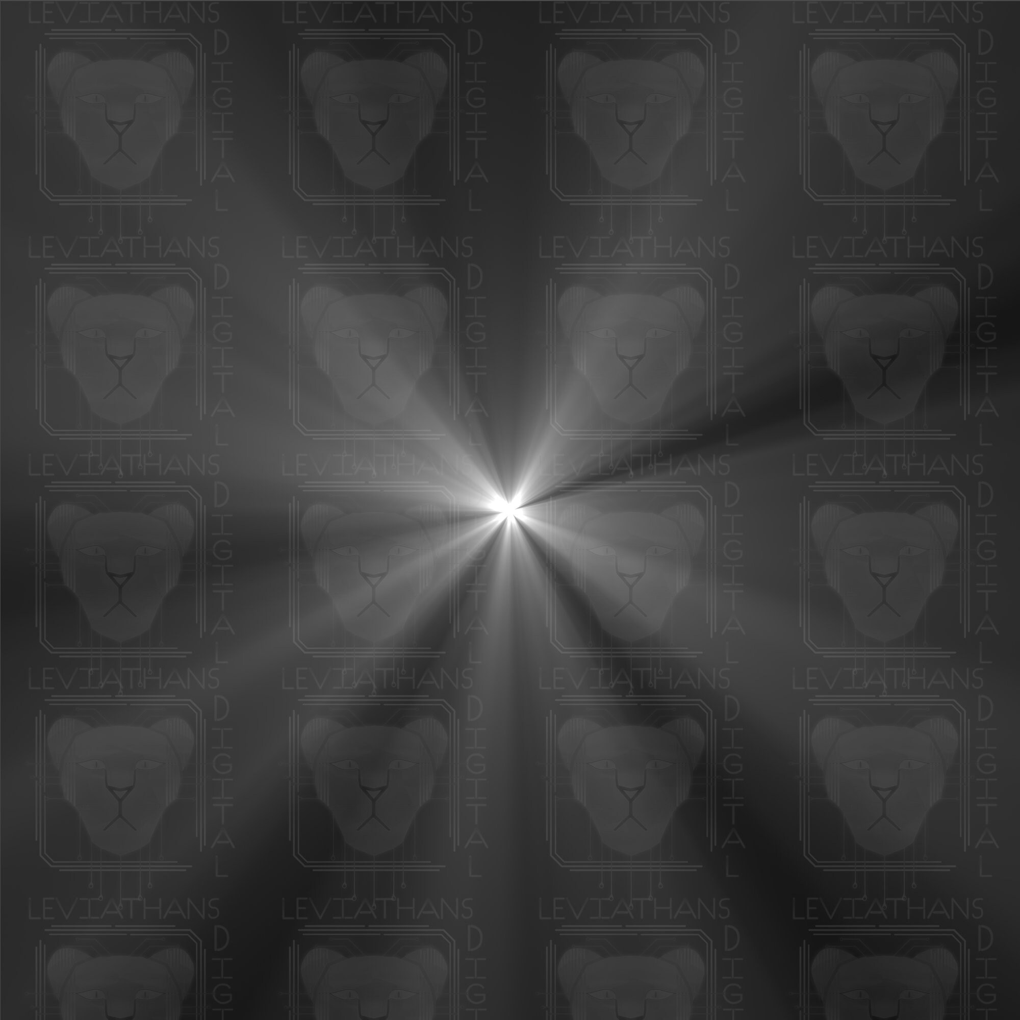 88 Digital Light Ray Overlays Combo Bundle 4K JPEG - Etsy