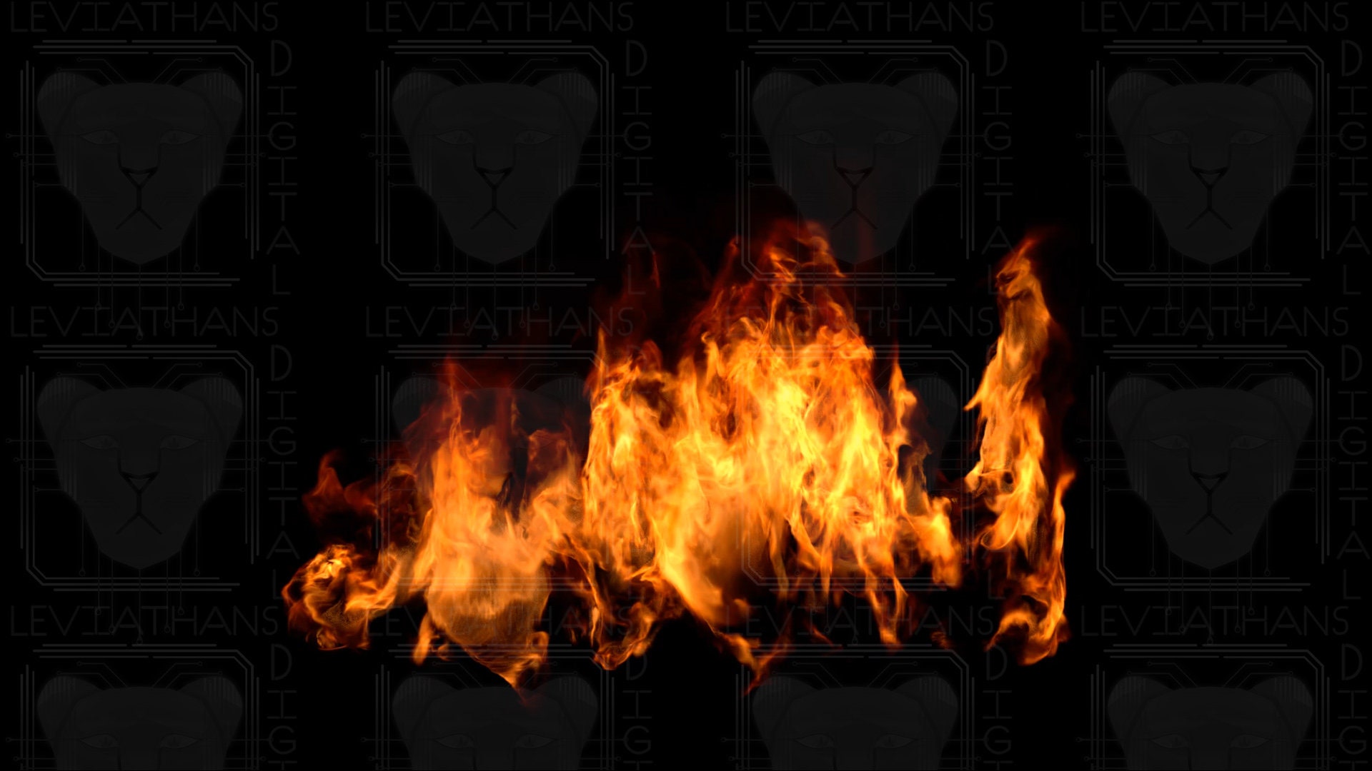 3 Digital Animated Fire Video Clip Overlays HD - Etsy