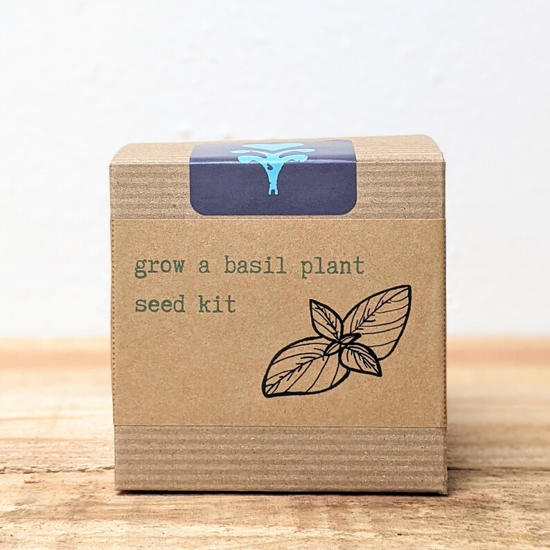Organic Basil Beginner Grow Kit - Etsy