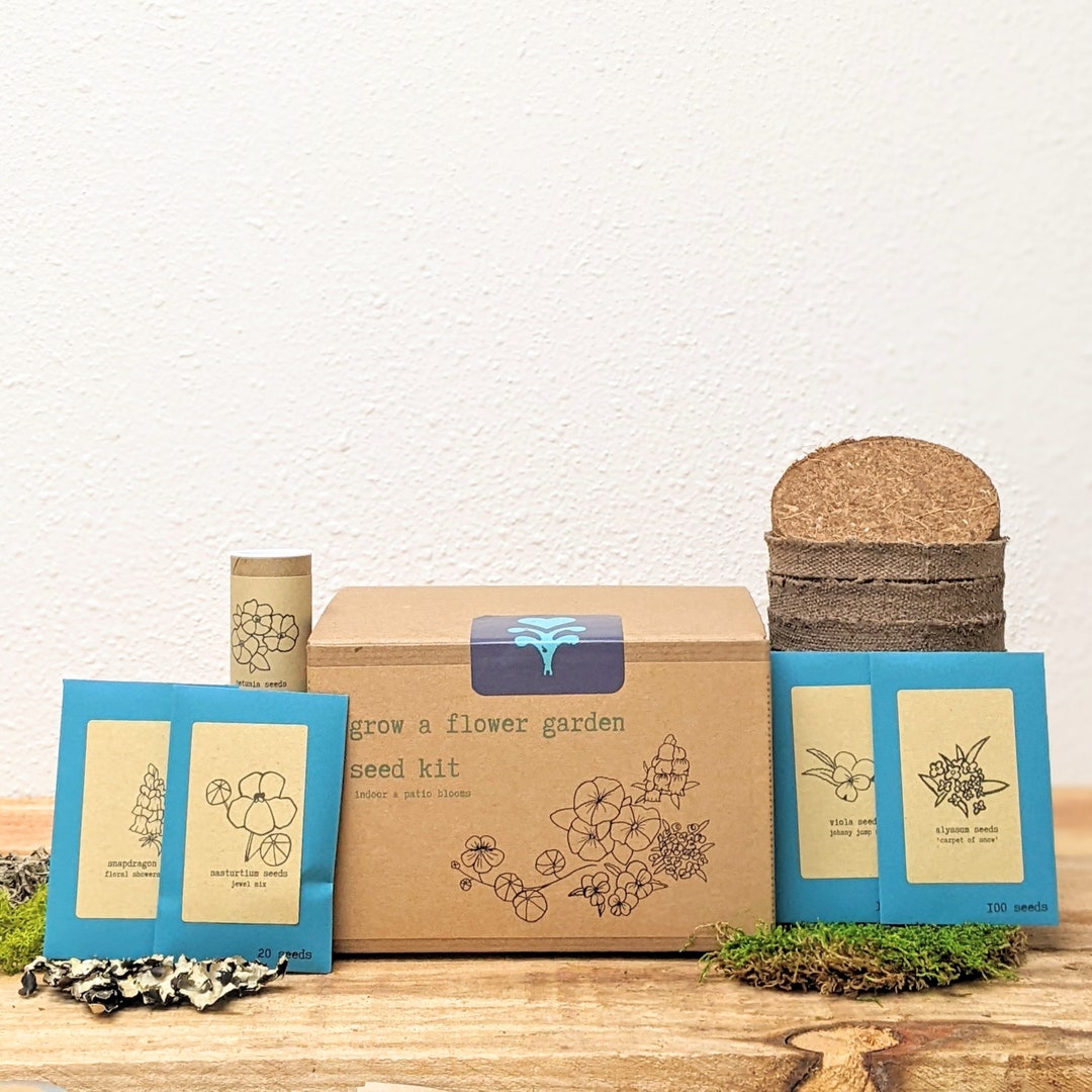 Grow a Flower Garden Seed Kit 'indoor Blooms' (indoor Windowsill Garden ...