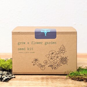 Grow a Flower Garden Seed Kit 'indoor Blooms' (indoor Windowsill Garden ...