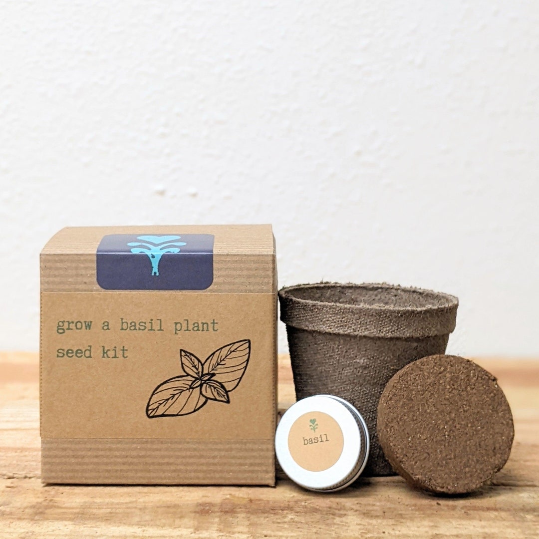 Organic Basil Beginner Grow Kit - Etsy