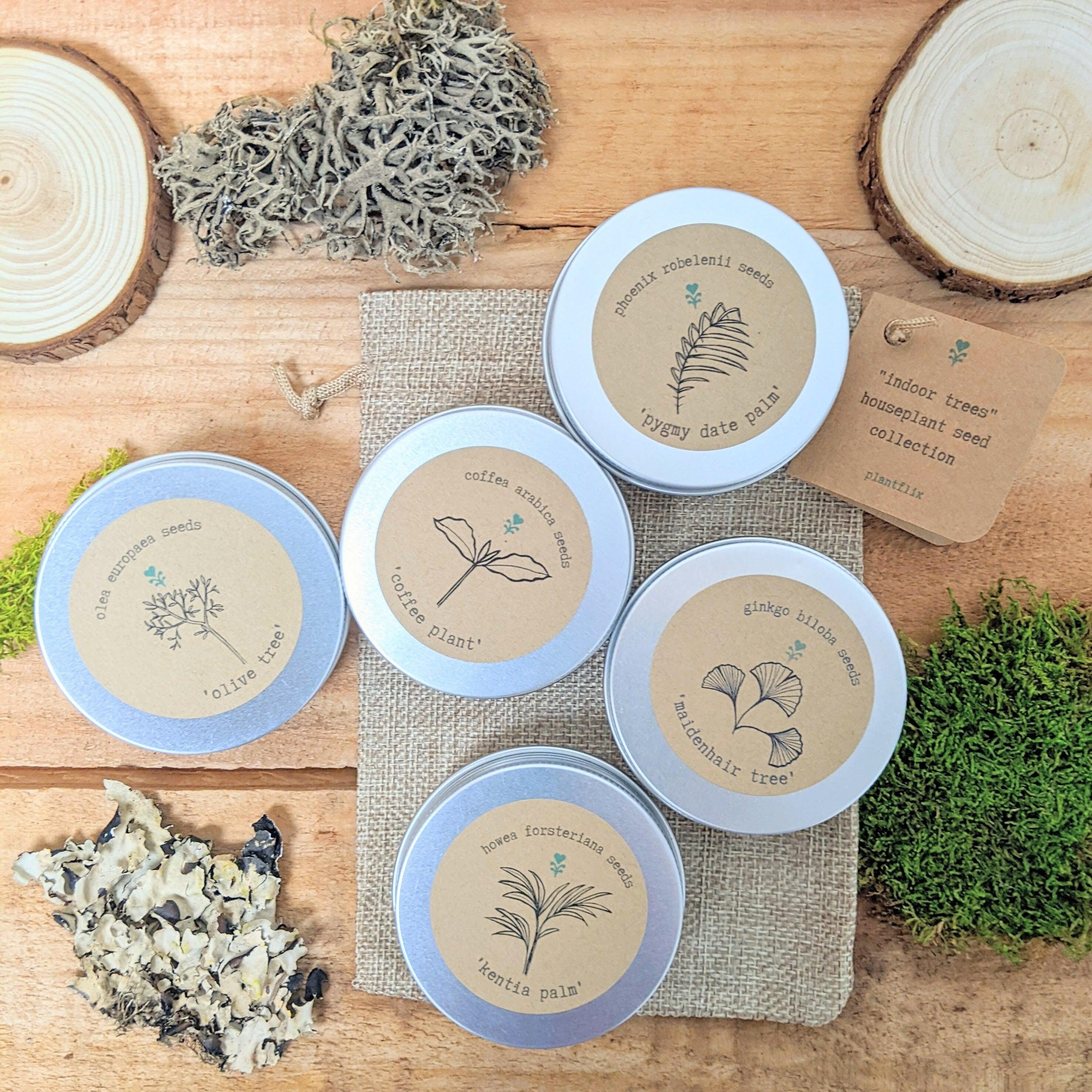 Collection de semences de plantes dintérieur Collection de - Etsy Canada