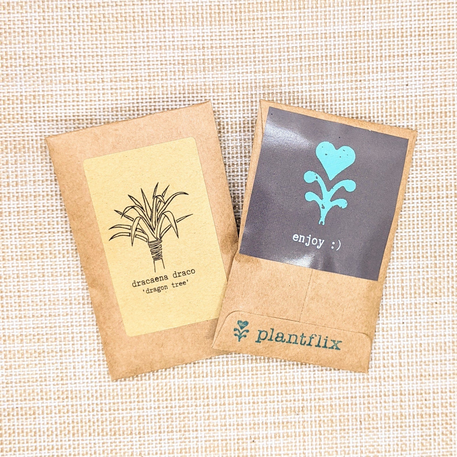 Dracaena Draco 'Dragon Tree' Seeds Exotic Tropical | Etsy