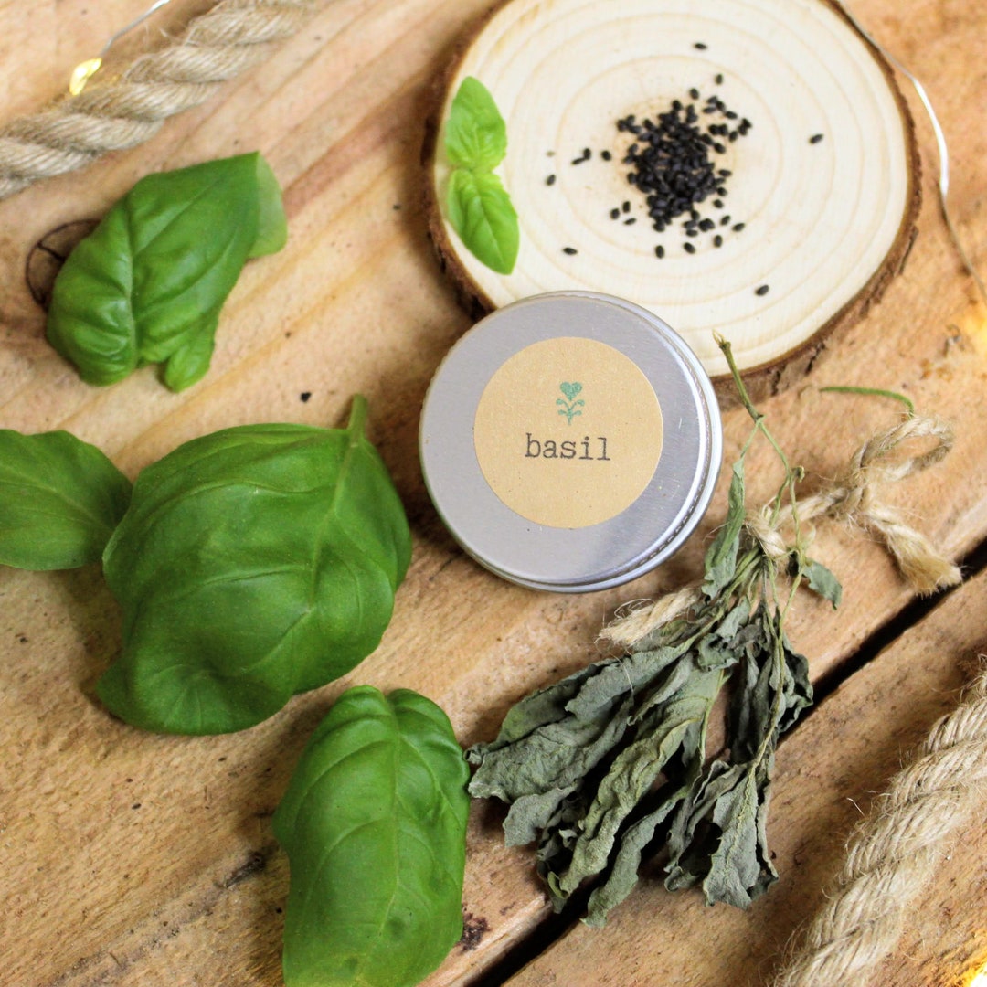 Heirloom Non-gmo Organic Basil Seeds (healthy Kitchen Herb Seeds, Grow ...
