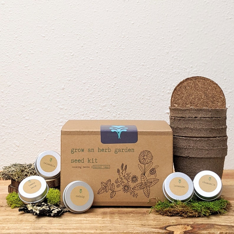 Grow an Herb Garden Seed Kit 'herbal Teas' indoor - Etsy