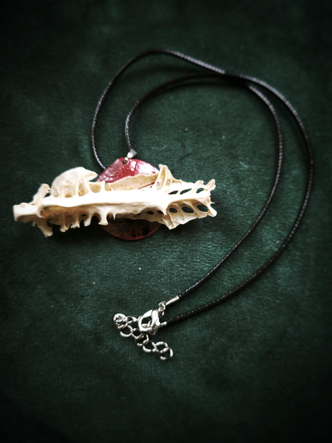 Vertebra & Blood Moon – Real Bone Necklace | Gothic Boho | Upcycled ...