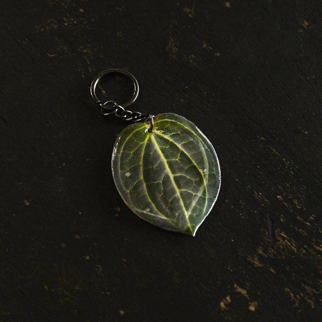 Hoya Latifolia (sarawak) | Plant Keychain | Plant Lover Gift | Plant ...