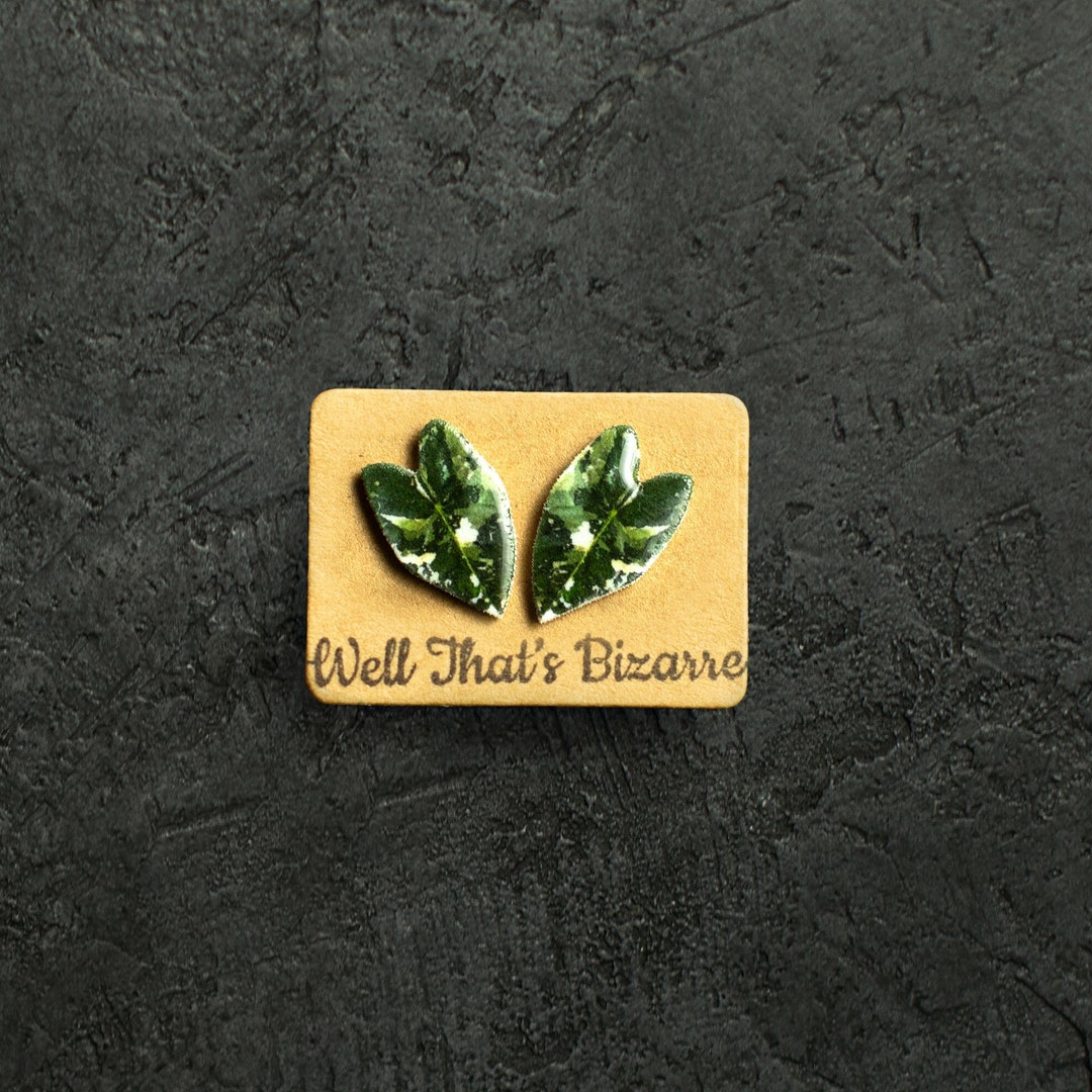 Variegated Alocasia Leaf Stud Earrings: Plant Lover Jewelry - Etsy