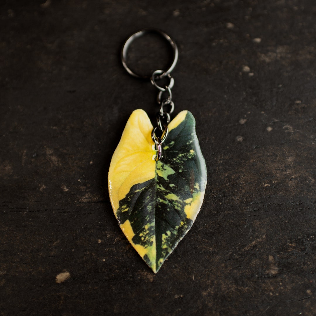 Syngonium Aurea Leaf Keychain: Botanical Plant Lover Gift - Etsy