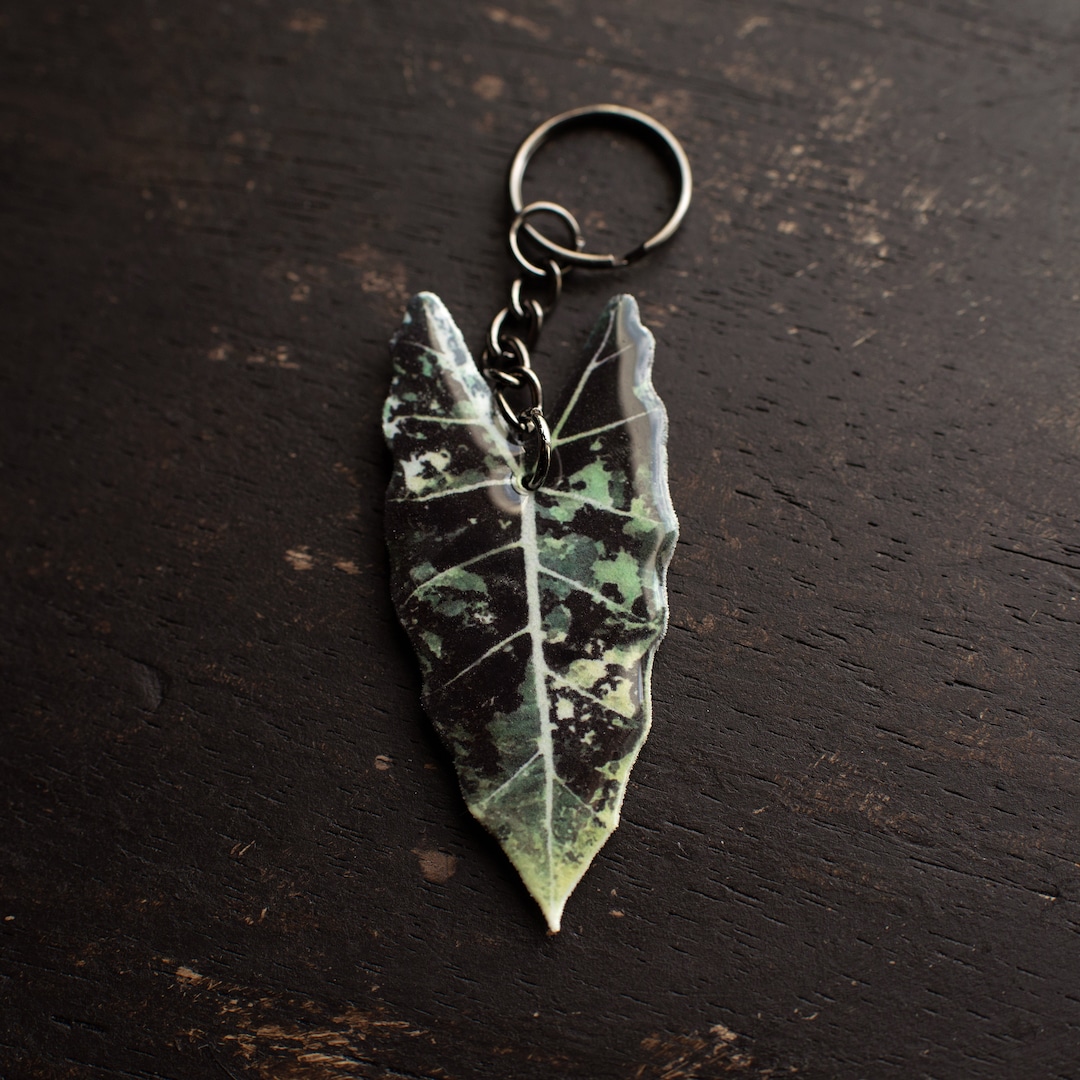 Variegated Alocasia Frydek Keychain | Plant Keychain | Plant Lover Gift ...