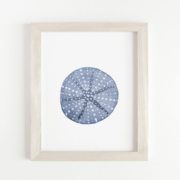 Starfish Sea Urchin - Etsy