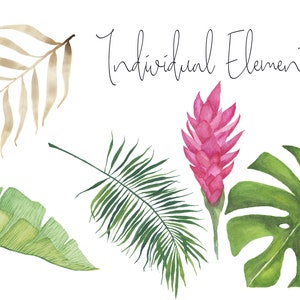 Tropical Watercolor Clip Art and Digital Paper - Etsy