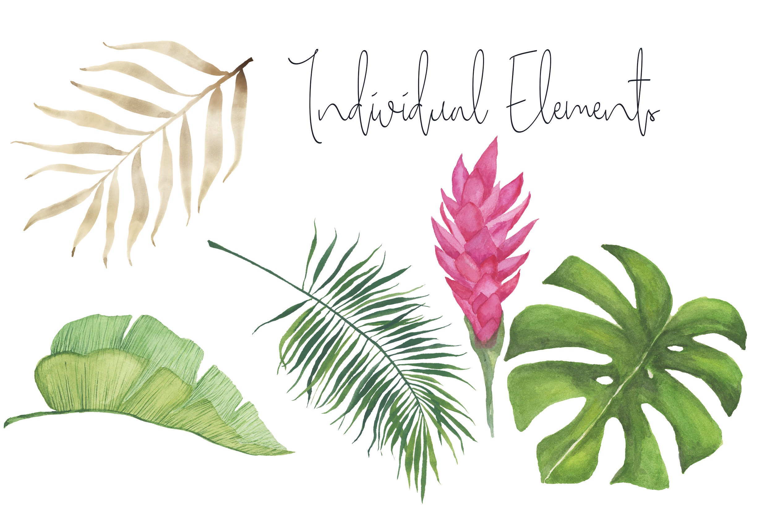 Tropical Watercolor Clip Art and Digital Paper - Etsy