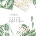 Tropical Watercolor Clip Art and Digital Paper - Etsy
