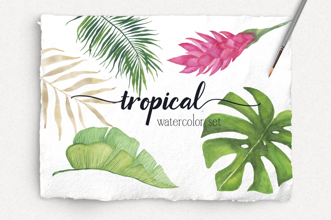 Tropical Watercolor Clip Art and Digital Paper - Etsy