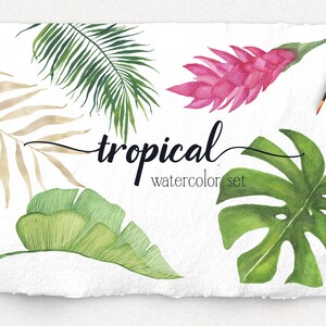 Tropical Watercolor Clip Art and Digital Paper - Etsy