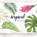 Tropical Watercolor Clip Art and Digital Paper - Etsy