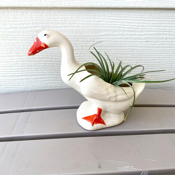 Duck Planter - Etsy