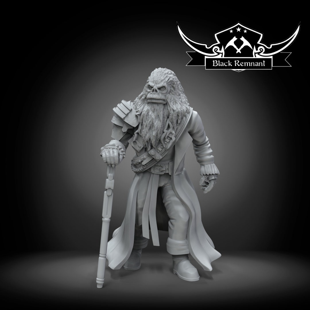 Gorian Shard Pirate King Star Wars RPG / Legion / Shatterpoint - Etsy