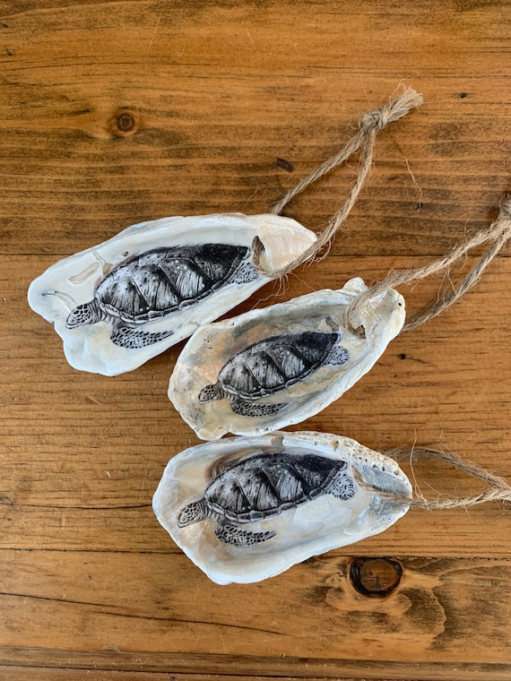 Sea Turtle Oyster Shell Ornament Oysters Sea Shells Beach | Etsy
