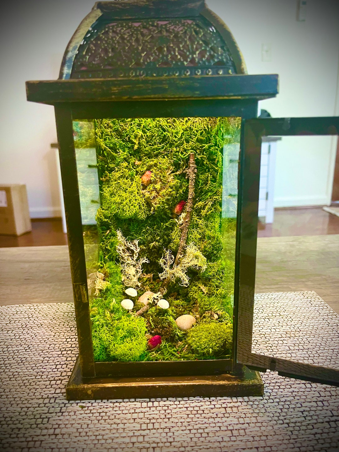 Moss Terrarium, Lichen, Reindeer Moss, LED Light, Decorative Lantern ...
