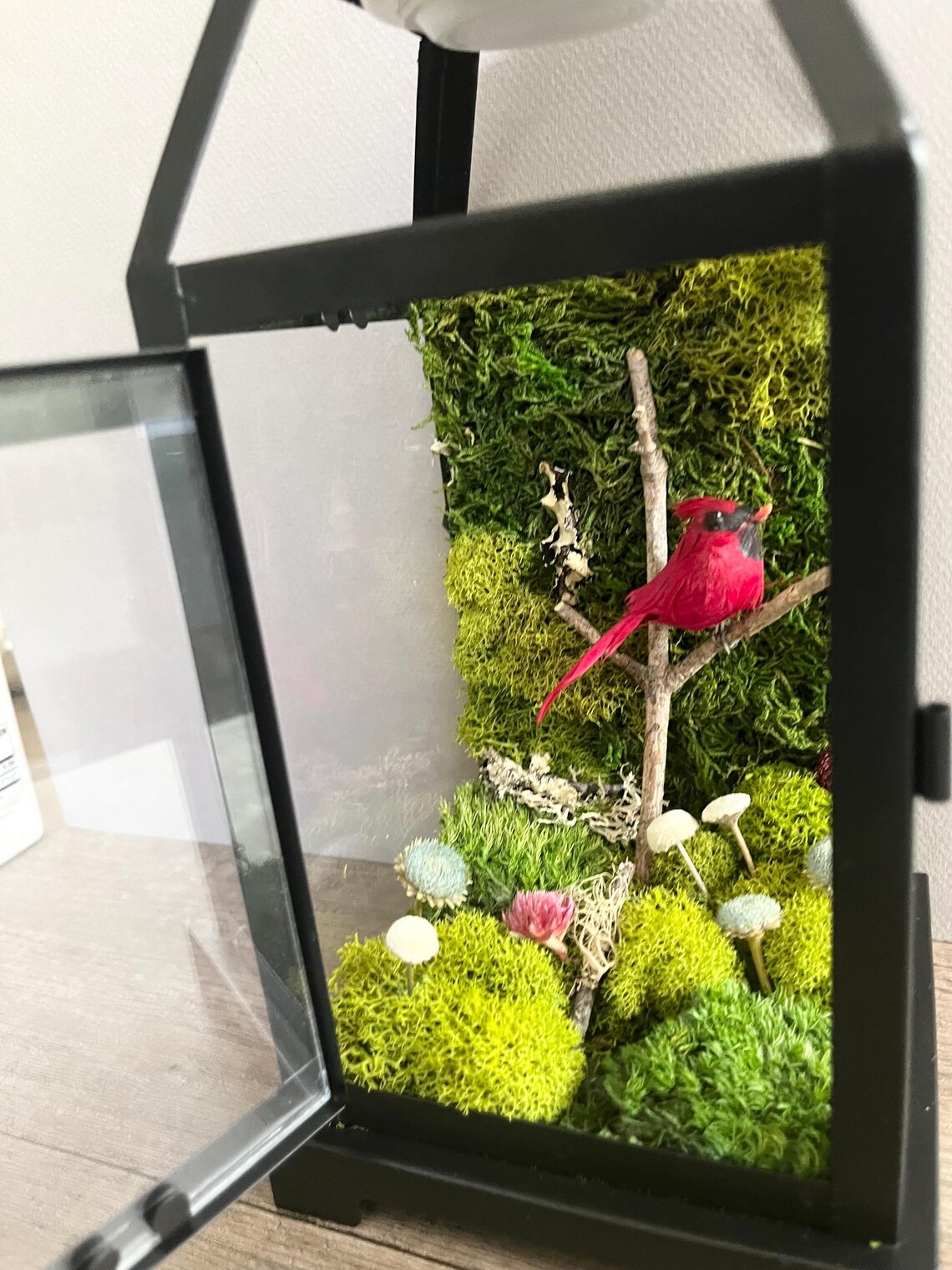 Preserved Moss Terrarium, LED Lighted Rustic Modern Metal Lantern ...
