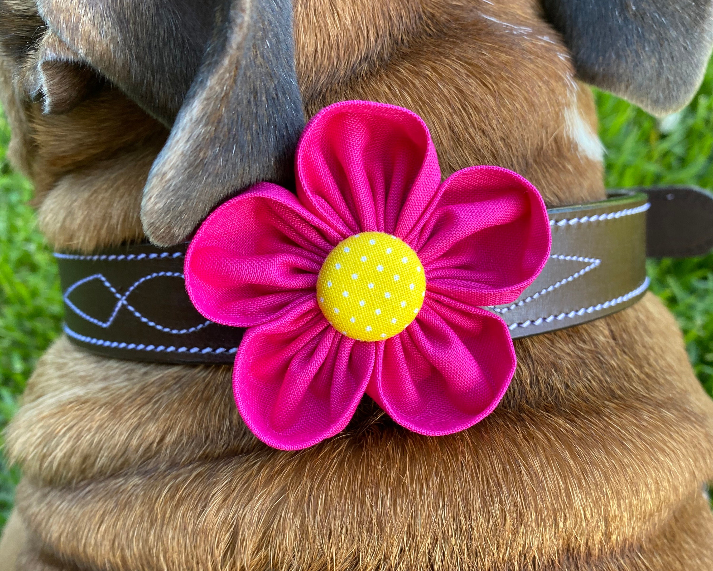 Dog Collar Flower | Hot Pink | Collar Corsage | Dog Wedding Flower ...