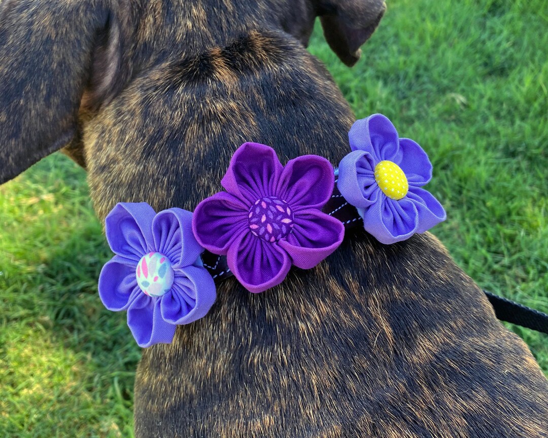 Dog Collar Flower | 3-pack | Collar Corsage | Dog Wedding Flower ...
