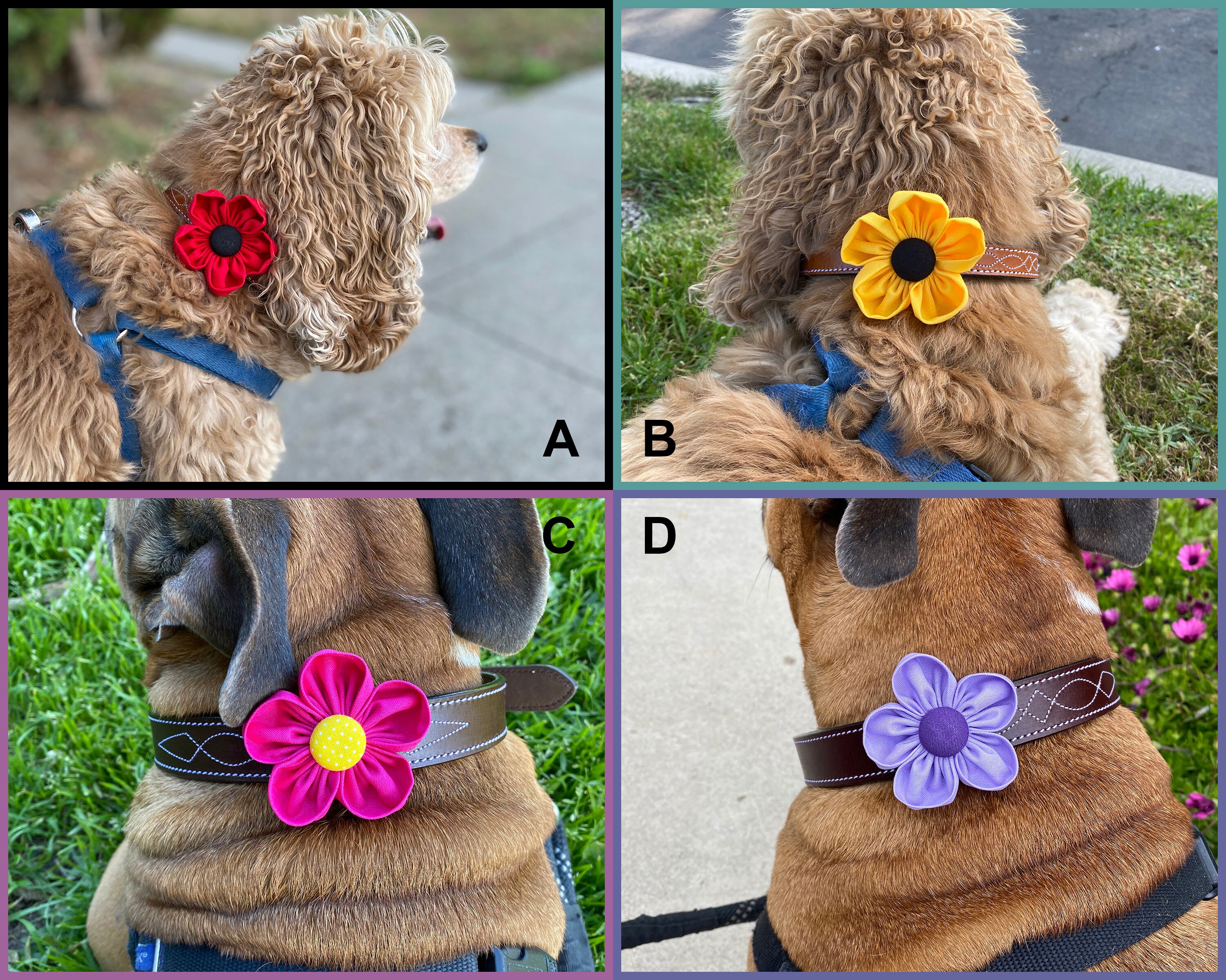 Dog Collar Flower | 3-pack | Collar Corsage | Dog Wedding Flower ...